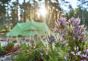 Spring Camping: The Ultimate List of Tips, Essentials, and Destinations ...