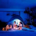 Don't Miss Out! Go Camping at Home - Embracing the Wind